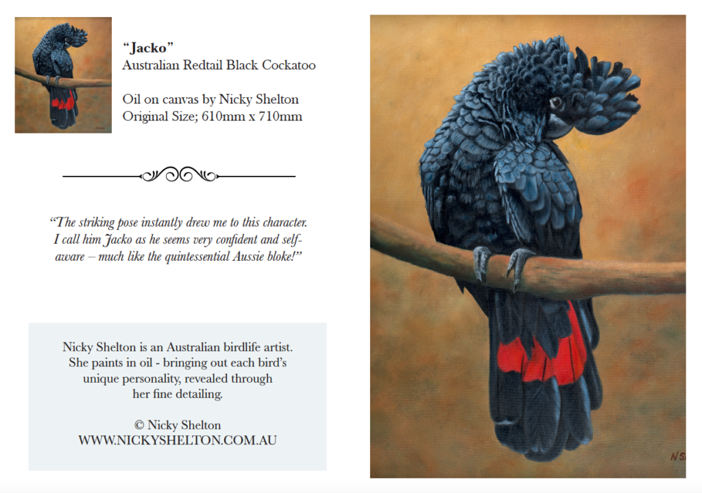 "Jacko" - Australian Redtail Black Cockatoo - Nicky Shelton Artist