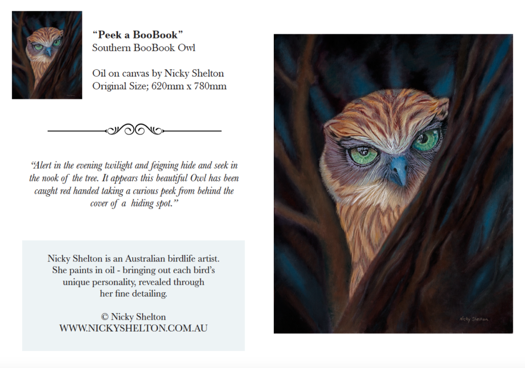 "Peek-a-BooBook" - Australian BooBook Owl - Nicky Shelton Artist