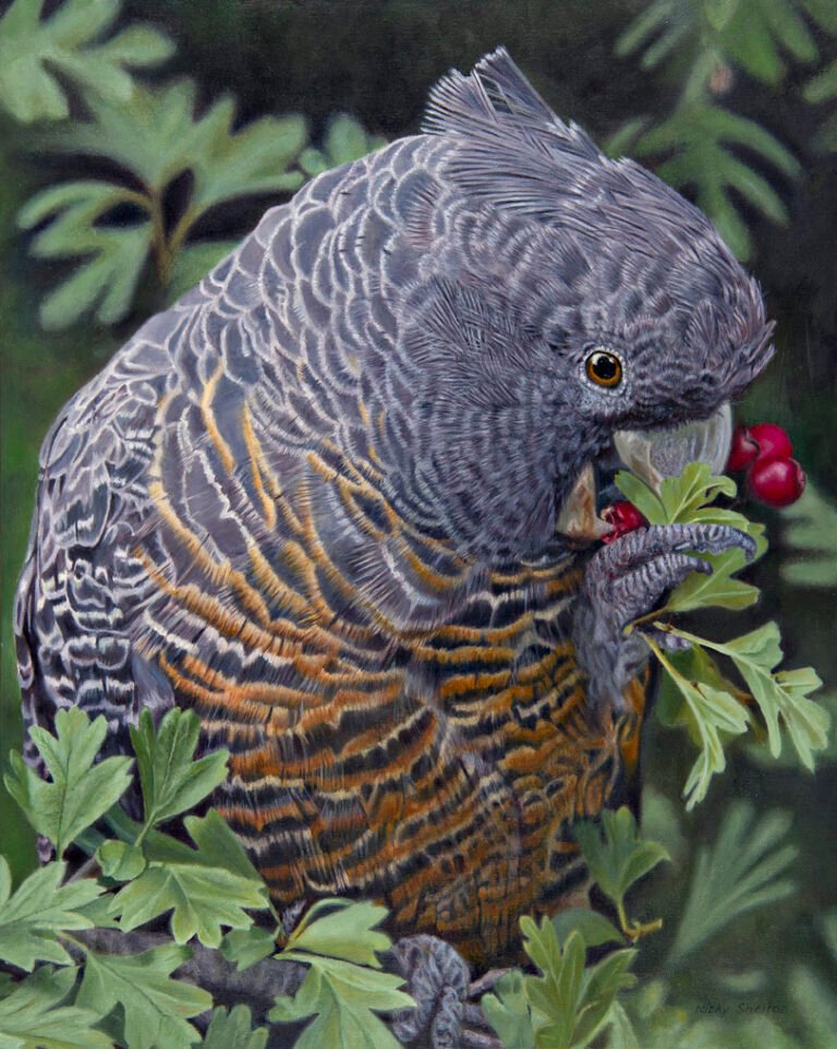 Finalist - Holmes Art Prize for Realistic Australian Bird Art 2022 ...