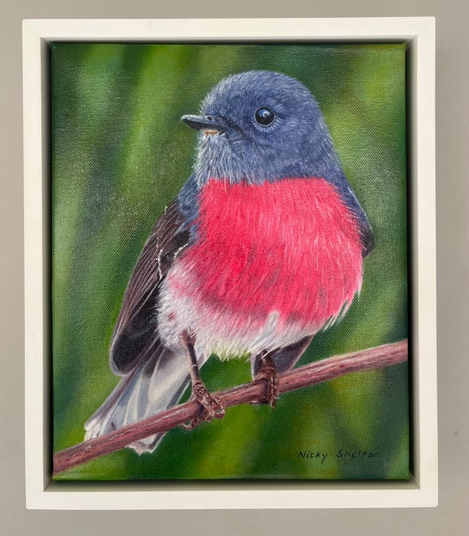 Perry's Rose - Male Rose Robin painted in oils.