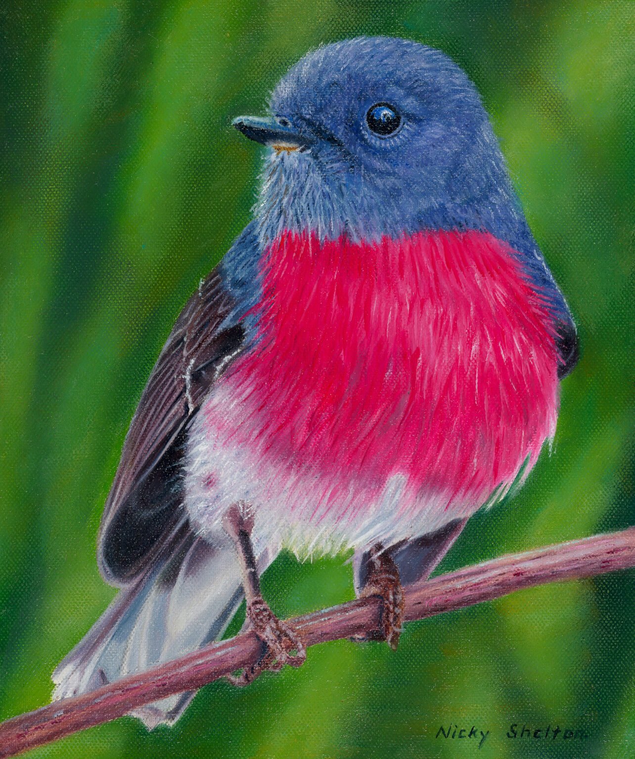 Australian bird paintings for sale, all original artwork and prints