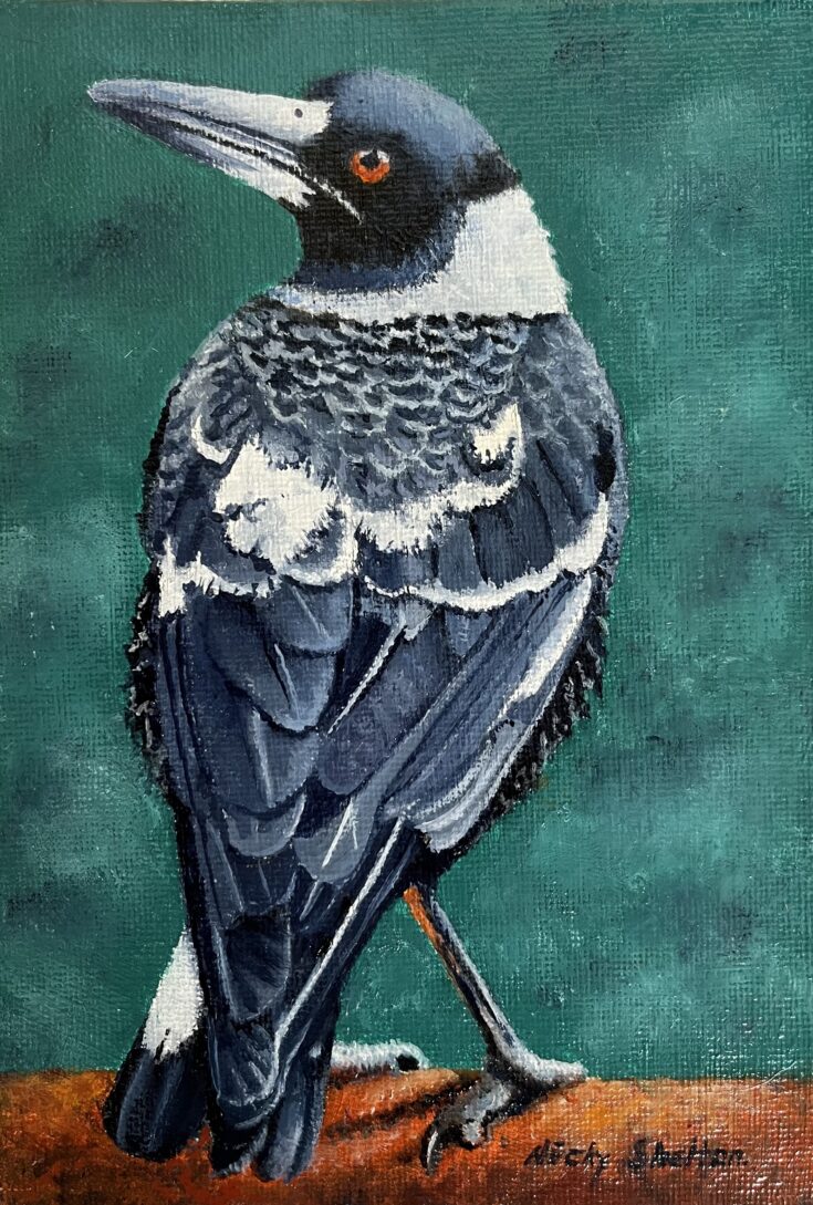 "Maggie" - Australian Magpie painted in oils.